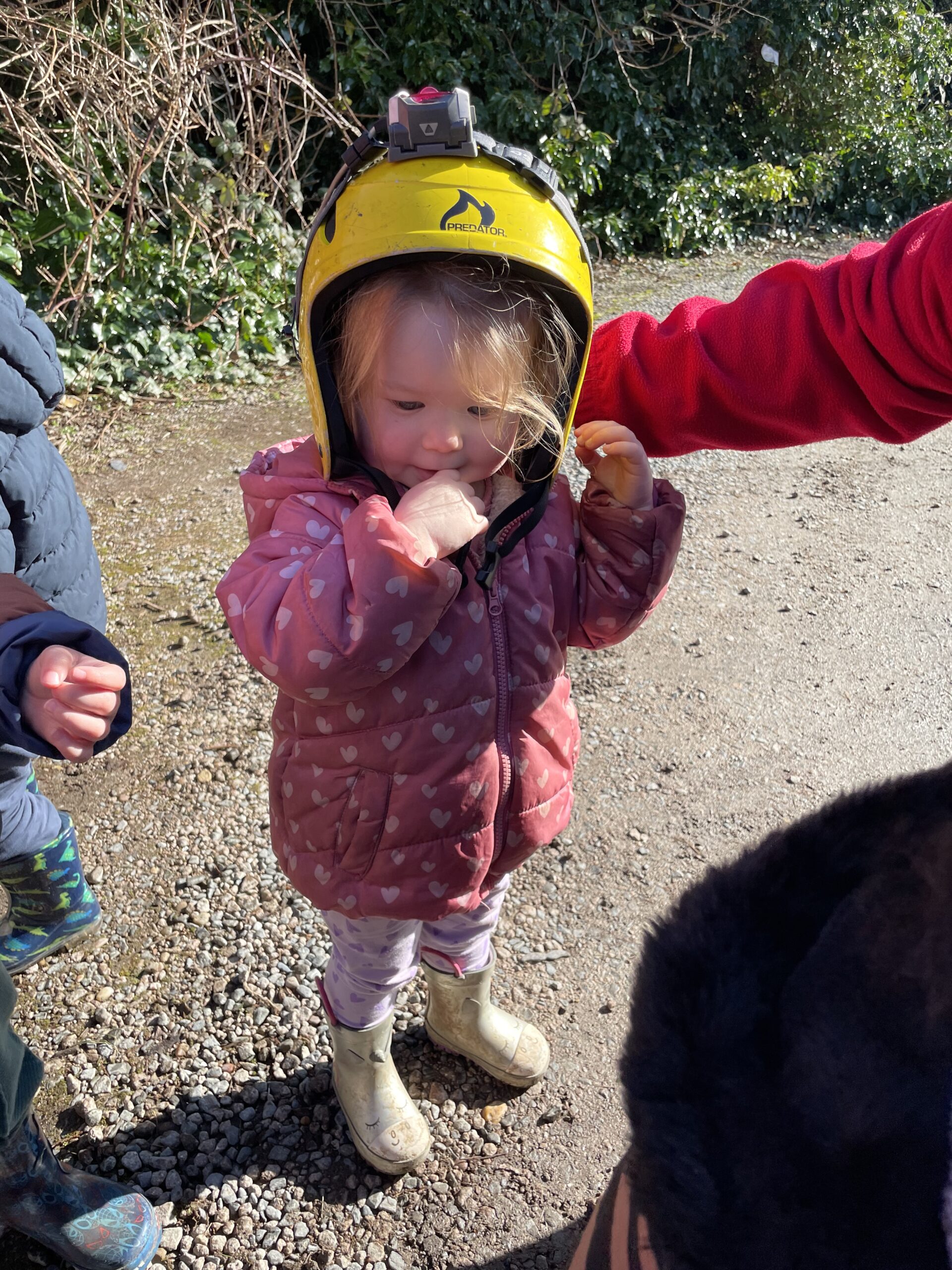 Gallery – Jack in the Box Nursery